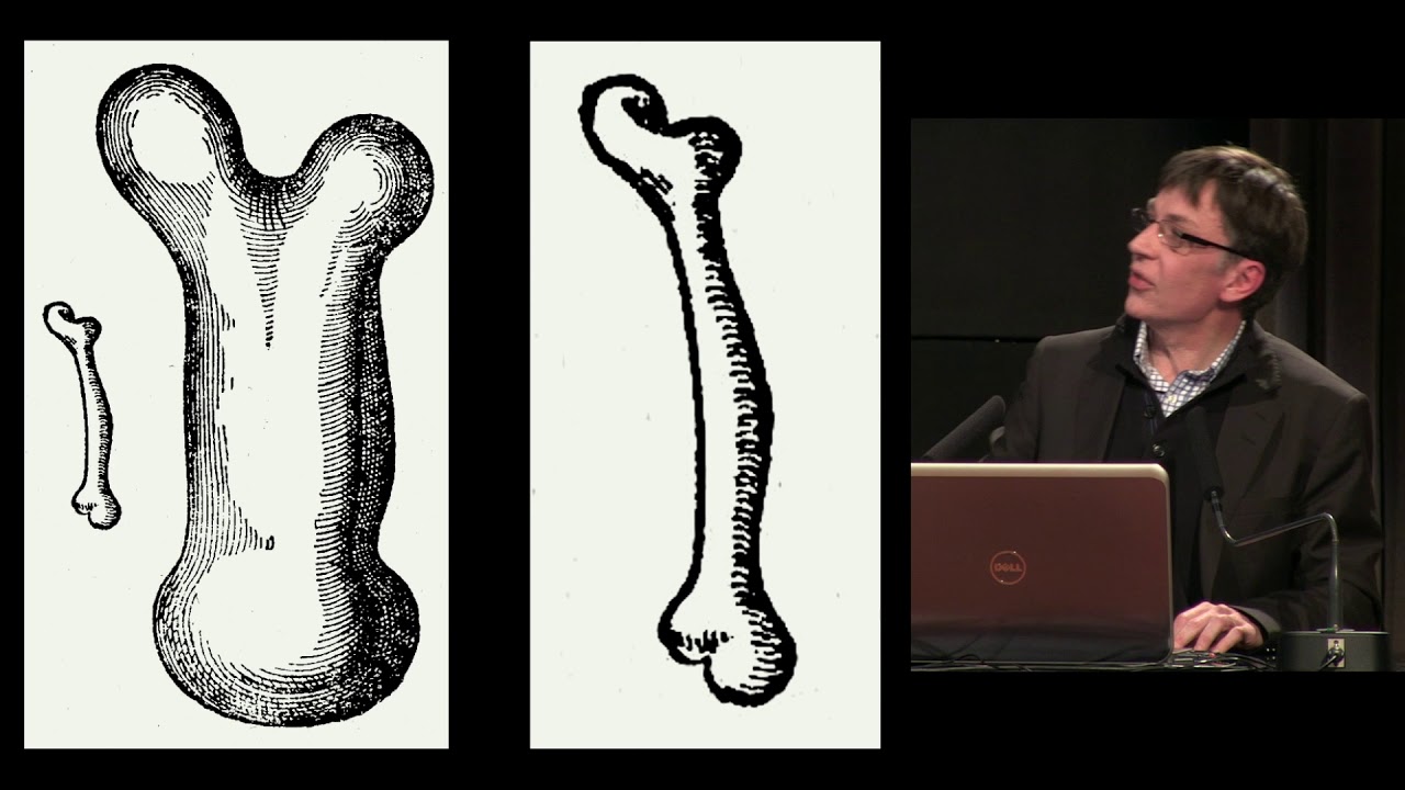 Immoderation, moderation | Cité de l'architecture & du patrimoine